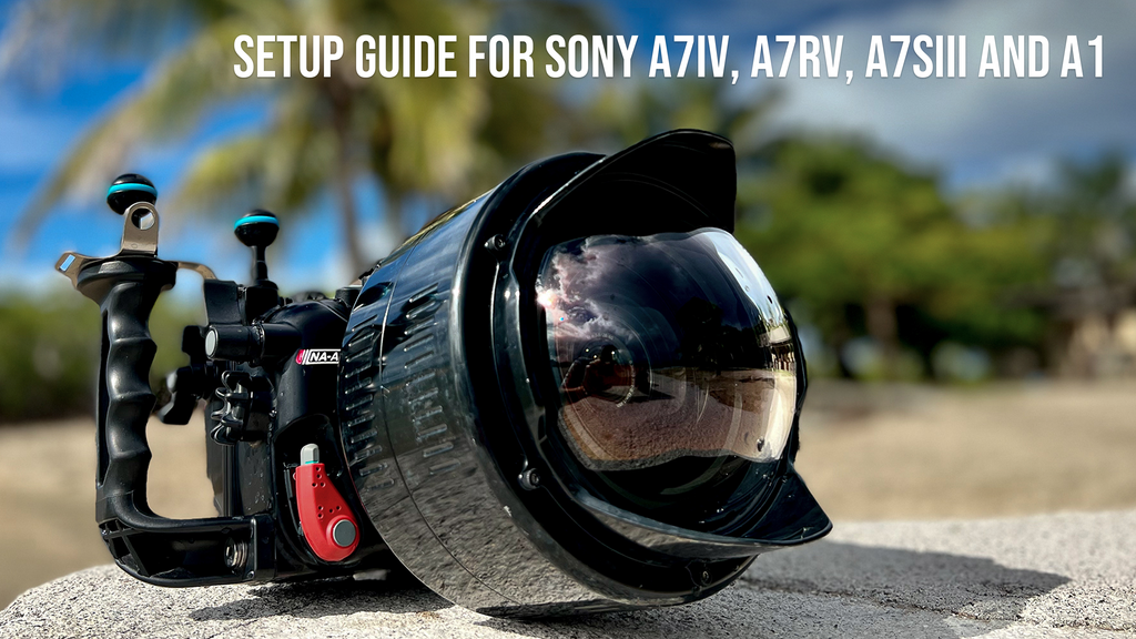 The Underwater Setup Guide for Sony A7RV, A7IV, A7SIII, and A1 – Nauticam